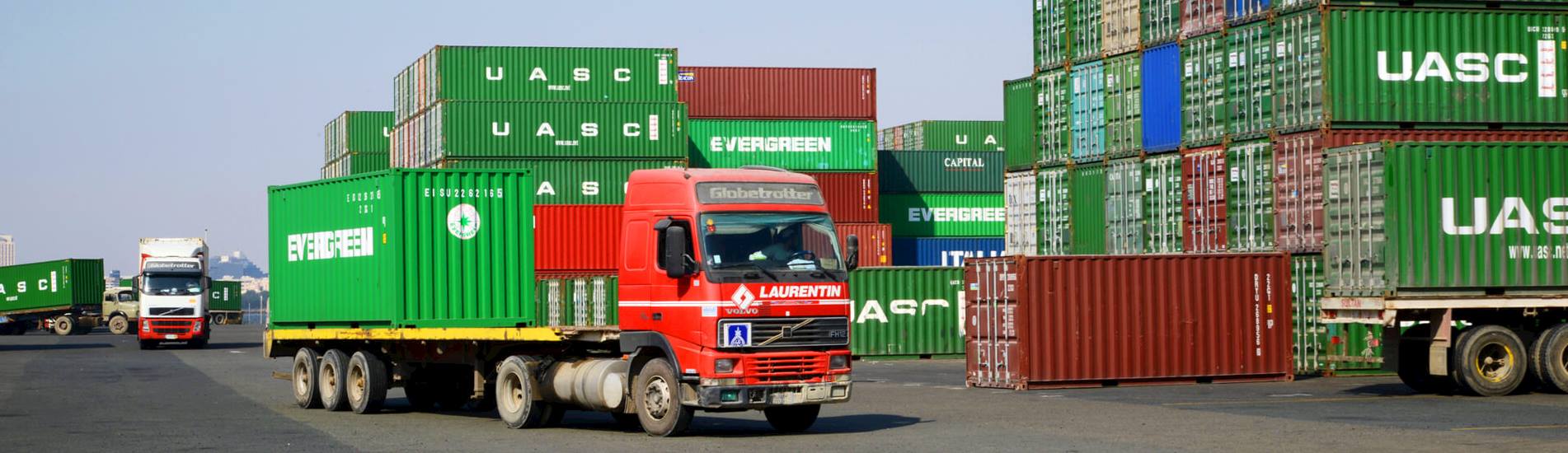 Saudi Development & Export Services